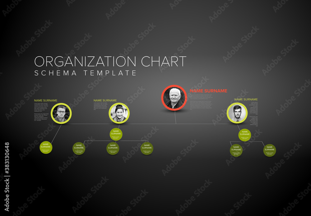 Company Hierarchy Organization Schema Layout with Profiles Stock ...