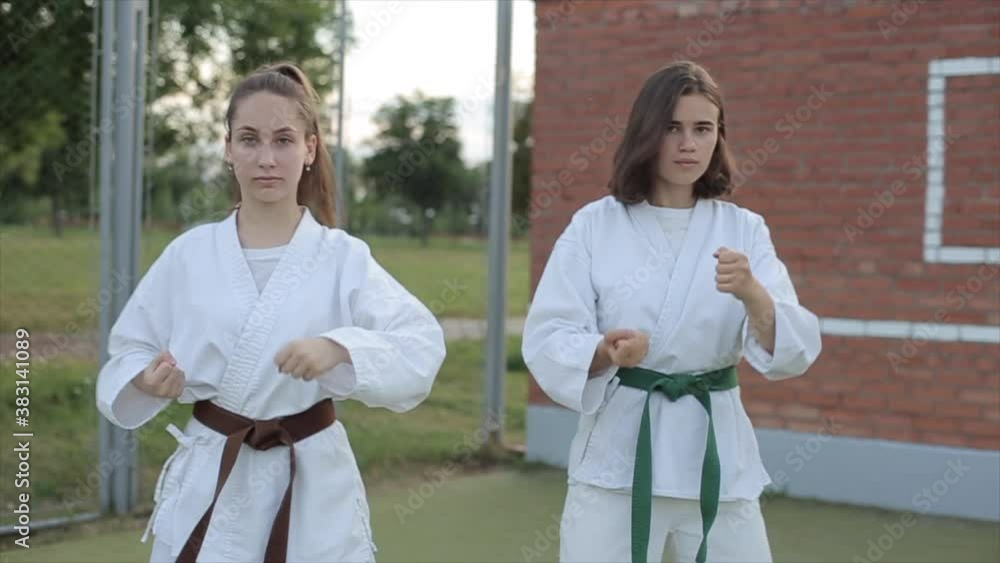 Two young women in a pair show basic karate kyokushinkai positions ...