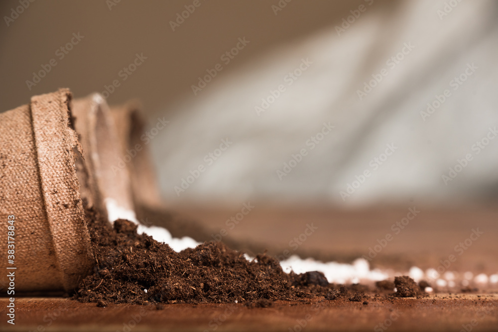Peat moss coming out of a peat pot with perlite and worm humus as ...
