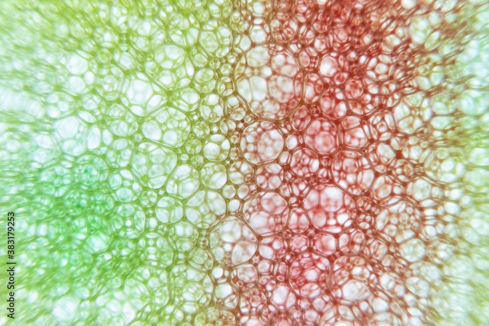 Chemical structures. Series of photographs of bubbles. Abstract ...