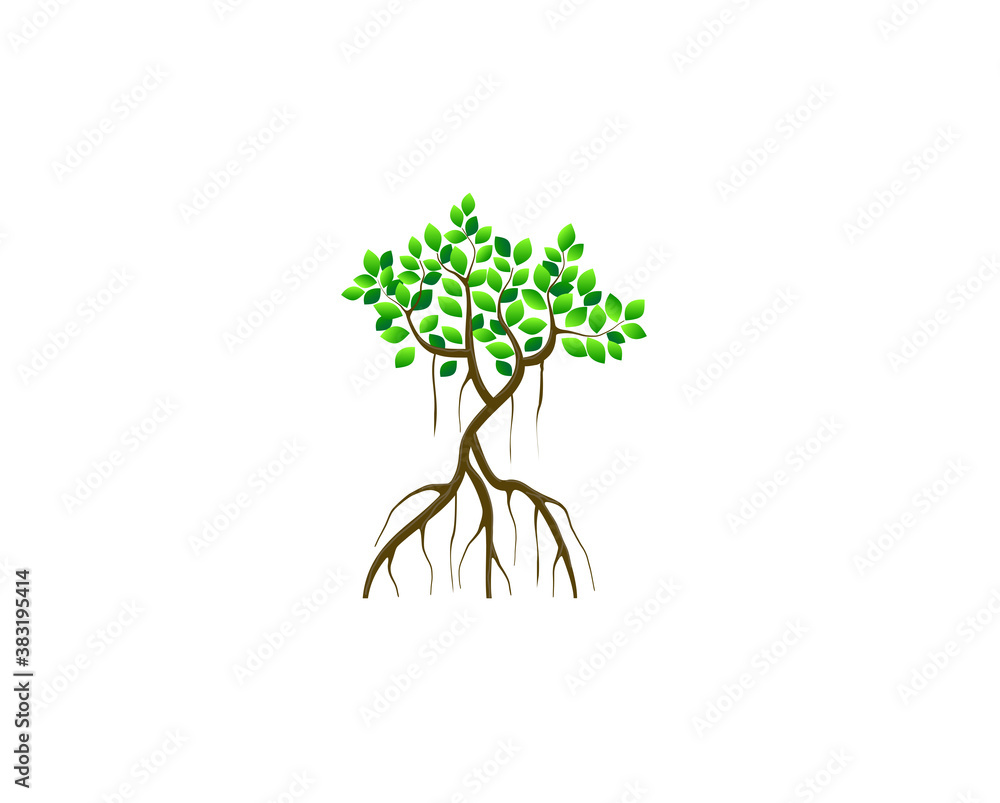 mangrove tree vector illustration Stock Vector | Adobe Stock