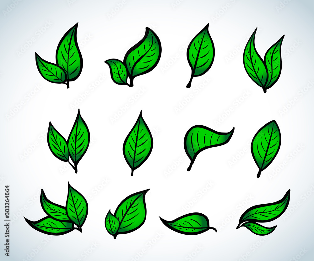 Leaves icon vector set isolated on white background. Various shapes of ...