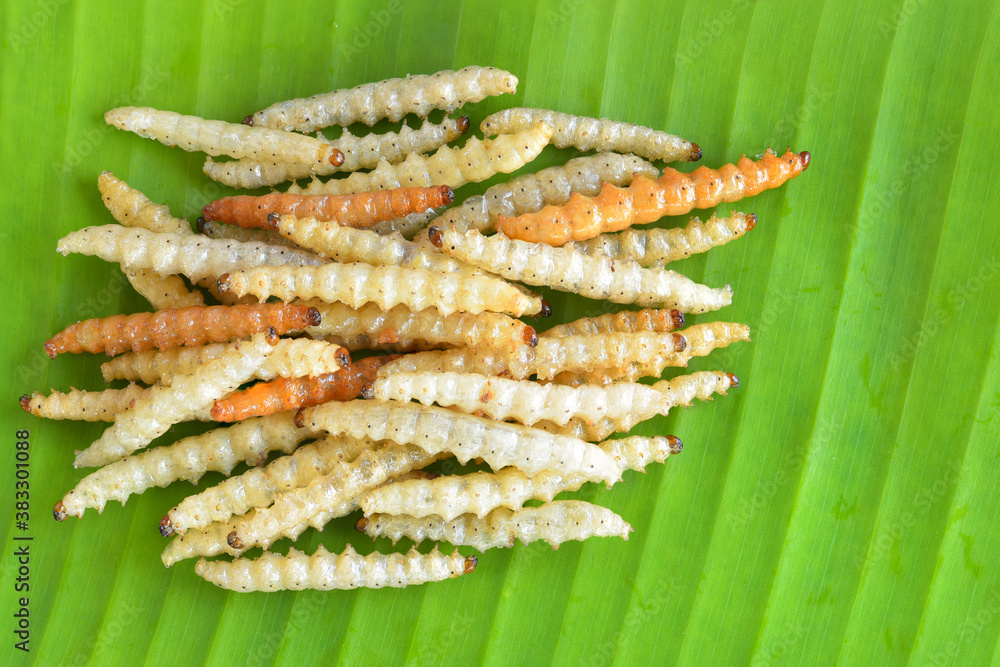 Bamboo worms fried insects with salt protein food.This local popular in ...