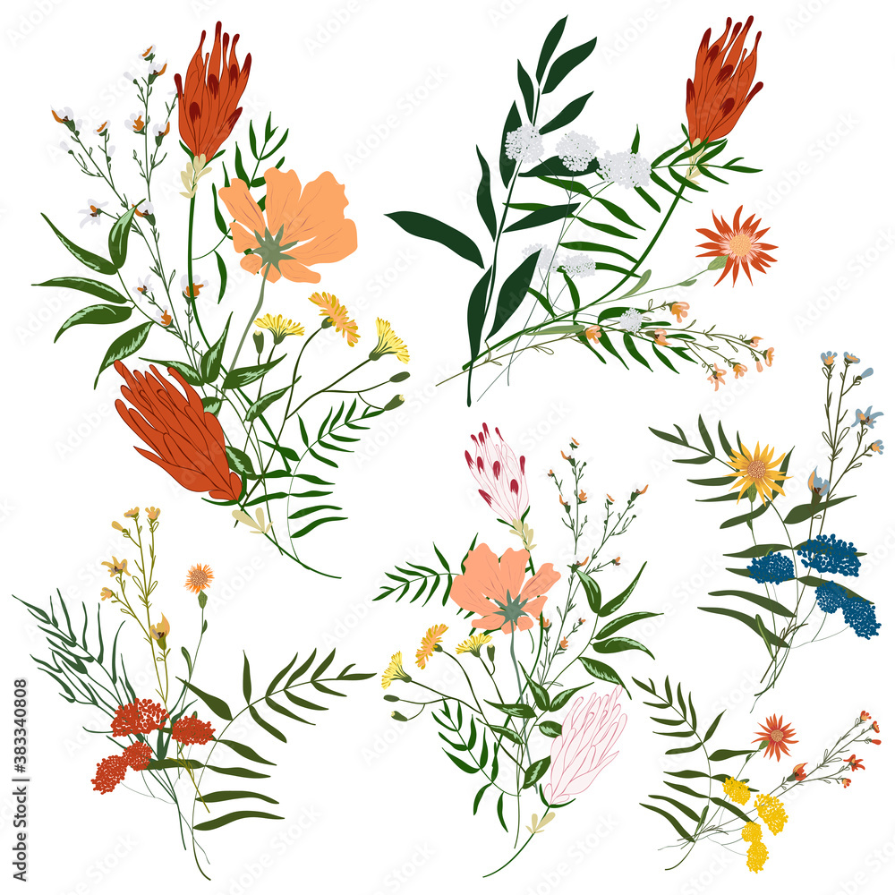 Hand drawn flower collection. Various flowers from fields and meadows ...