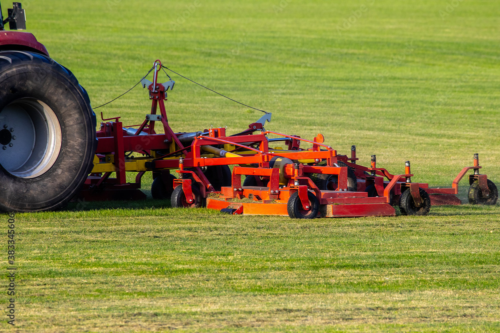 Industrial production of lawn grass in rolls. Trimmed field, resistant ...