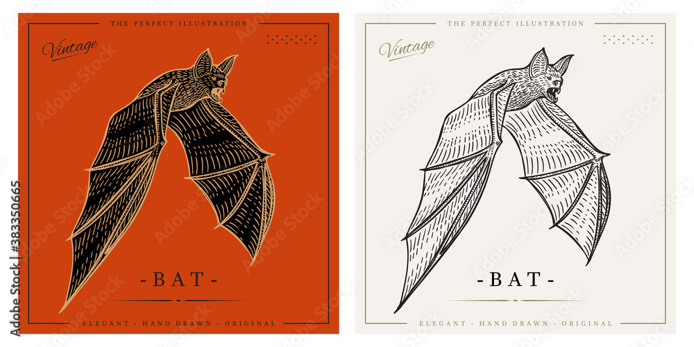 Bat illustration sketch vintage retro detailed engraved style ...