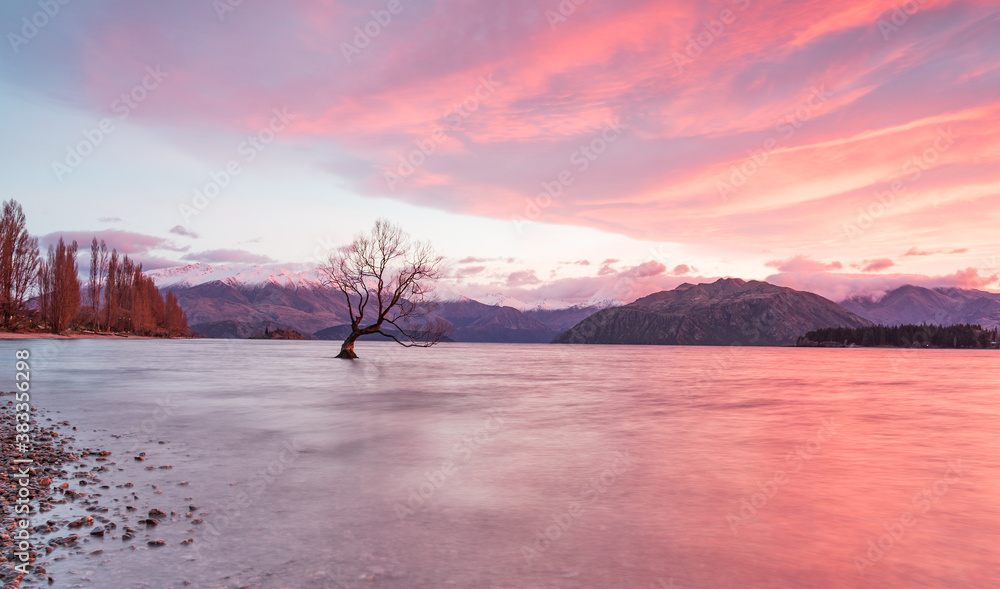Foto de Wanaka Tree bei Sonnenaufgang, Lake Wanaka Neuseeland ...