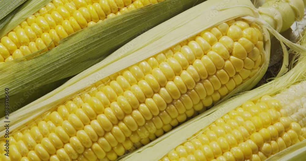 Vidéo Stock Raw corn rotates 360 degrees in a circle. Slow motion close ...