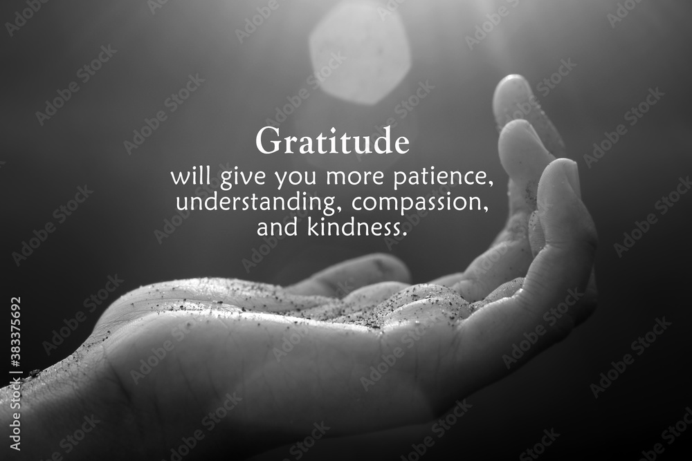 Inspirational quote - Gratitude will give you more patience ...