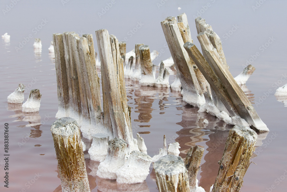pink salt lake - a former place for salt mining. therapeutic diet ...
