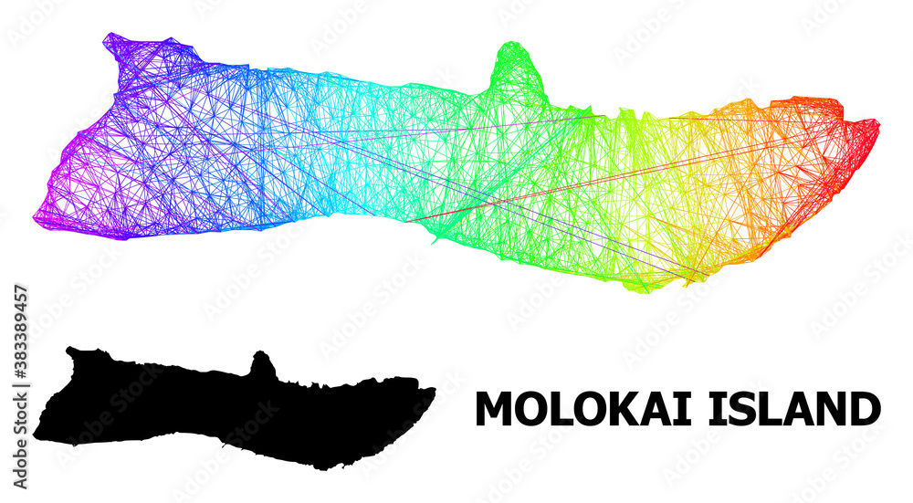 Wire frame and solid map of Molokai Island. Vector structure is created ...