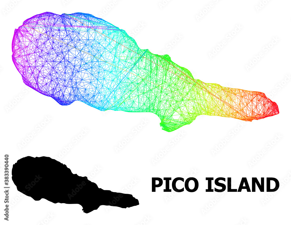 Wire frame and solid map of Pico Island. Vector model is created from ...