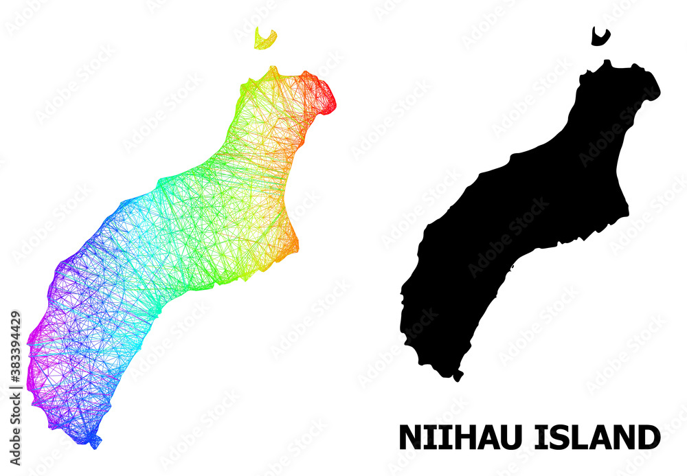 Network and solid map of Niihau Island. Vector model is created from ...