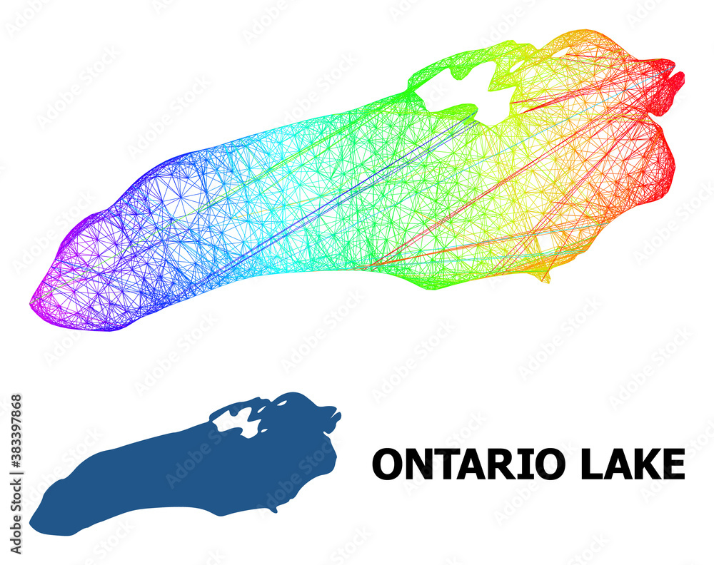 Wire frame and solid map of Ontario Lake. Vector model is created from ...