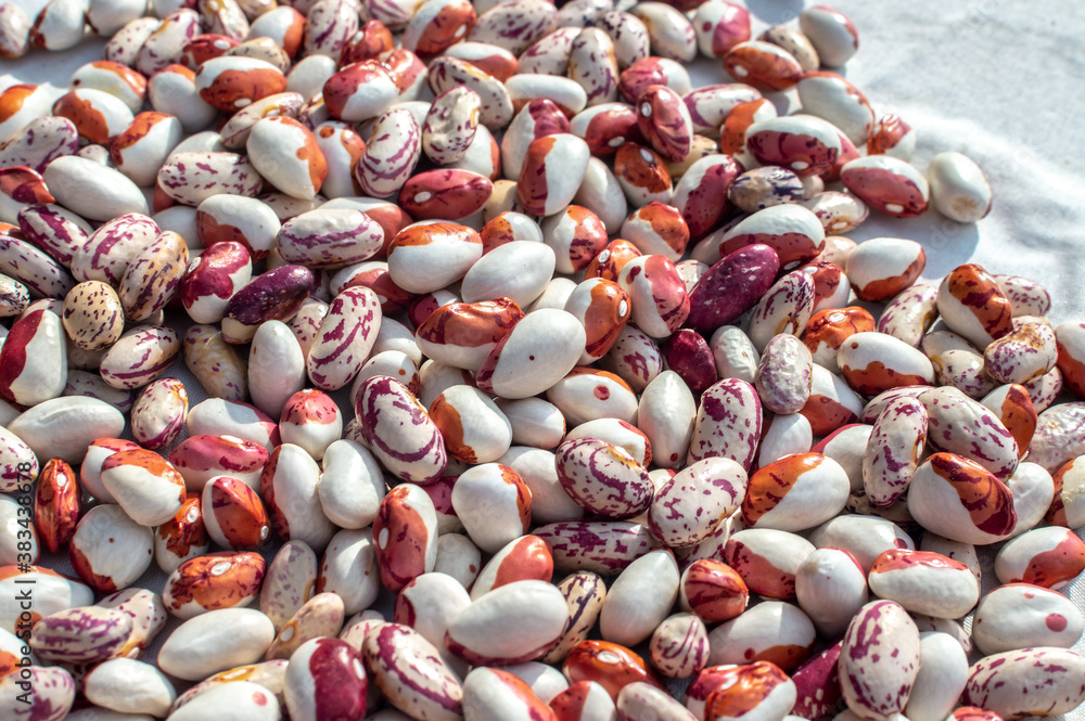 Kidney bean texture background. A large, kidney-shaped bean with a ...