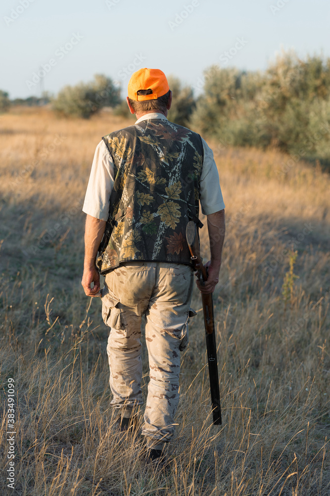 Duck hunter with shotgun walking through a meadow. .Rear view of a man ...