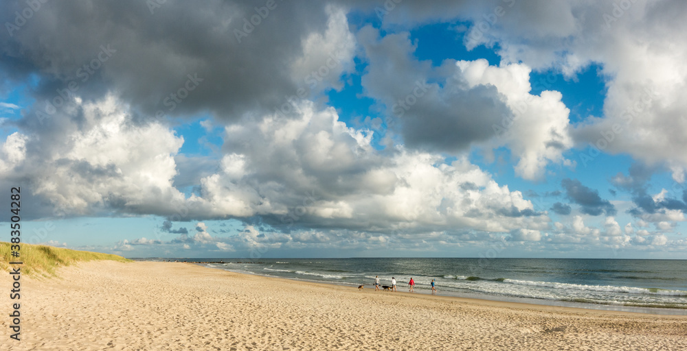 Beach sand panorama with people and dogs. Blue sky and dramatic clouds ...