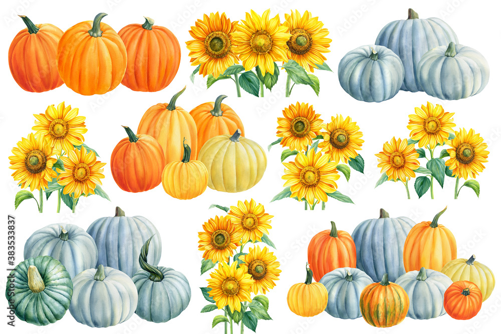 Autumn Pumpkins and sunflowers on a white isolated background ...