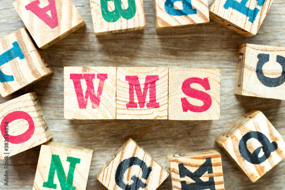 Alphabet letter block in word WMS (Abbreviation of warehouse management ...