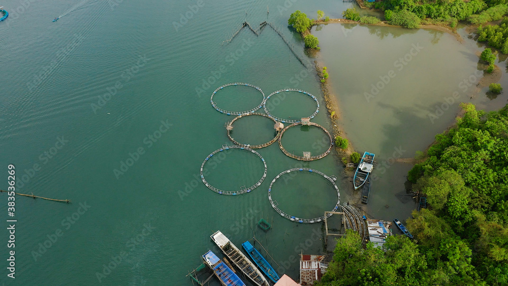 Fishing industry. Fish farming on an industrial scale. Aerial view of ...