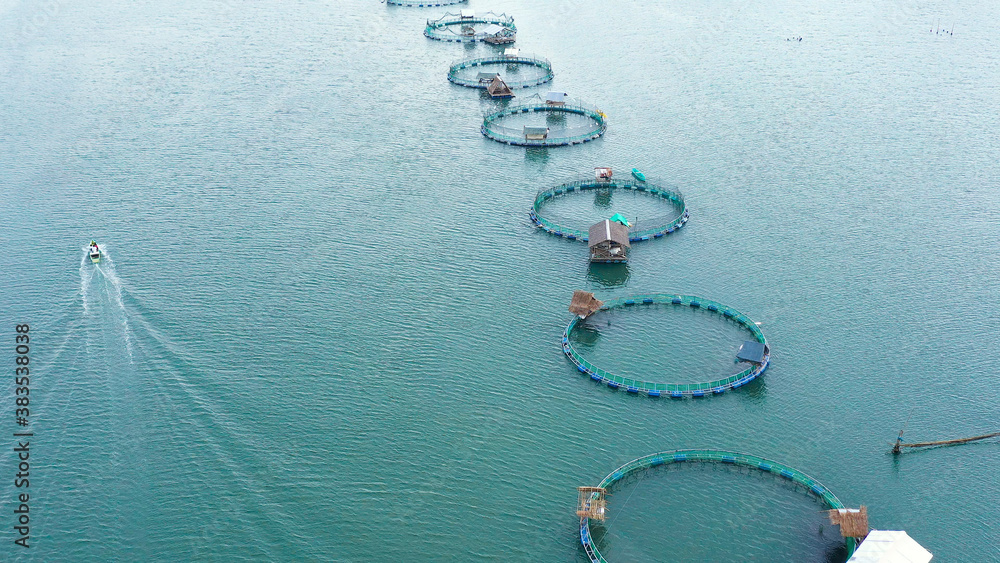 Fishing industry. Fish farming on an industrial scale. Aerial view of ...