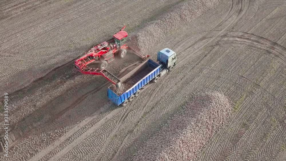 Crane conveyor of a combine harvester for unloading sugar beet. The ...