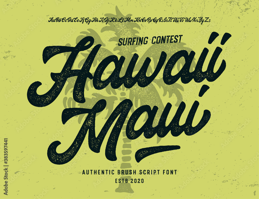 Original Brush Script Font " Hawaii Maui ". Retro Typeface. Vector Illustration. Stock ...