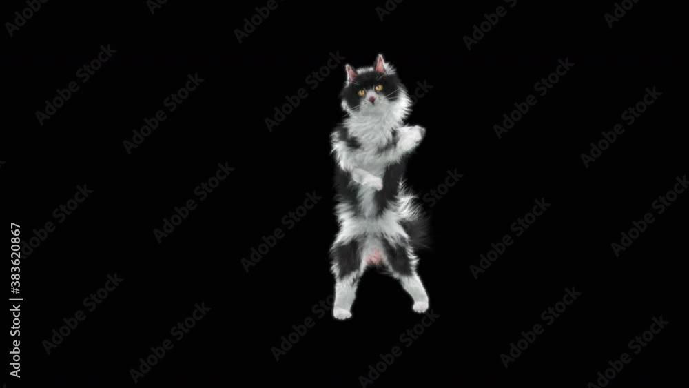 Cat Dancing CG fur. 3d rendering, Animation Loop. Included at the end ...