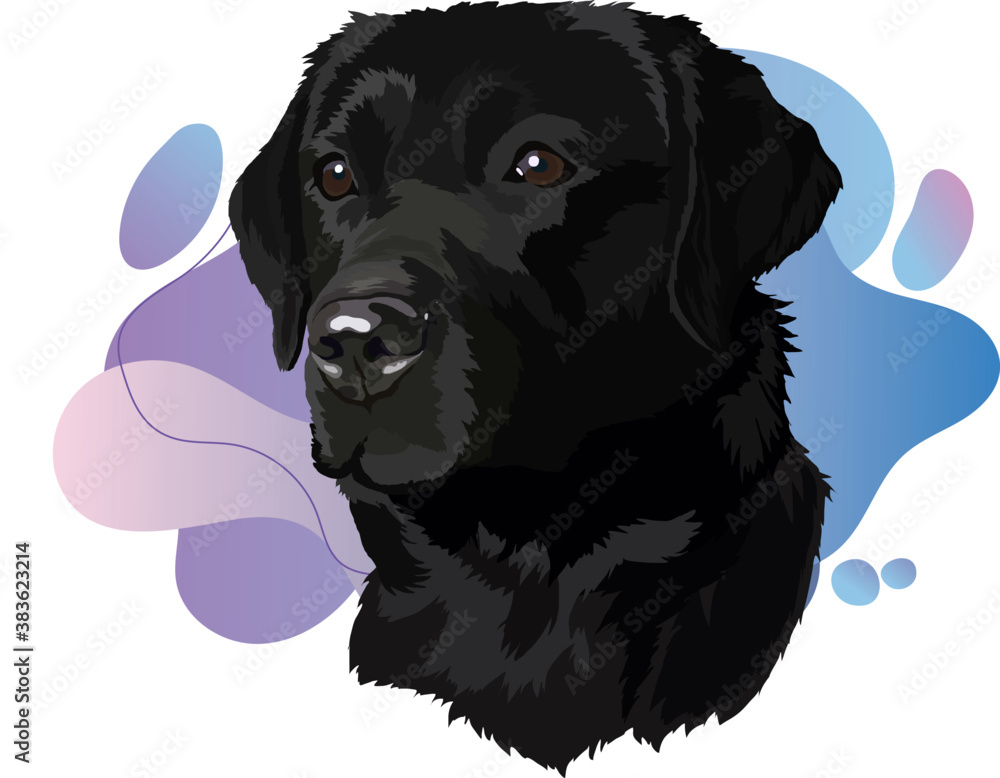 black labrador Head Vector Illustration. Trend Stock Vector | Adobe Stock