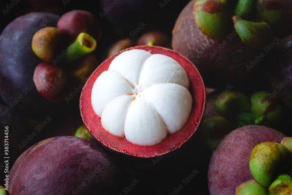 Fresh ripe mangosteen fruits and cross section showing the thick purple ...