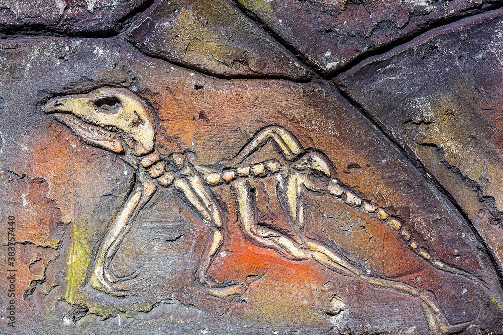 Pterosaur Fossil Replica