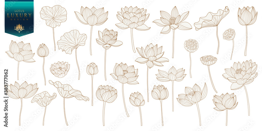 Lotus Vector element. lotus line arts design for packaging template ...
