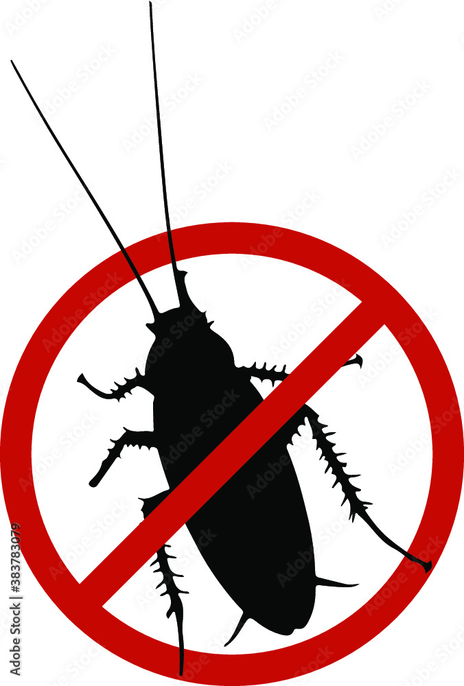 Anti-cockroach, pest control, destruction of parasites, stop insect ...