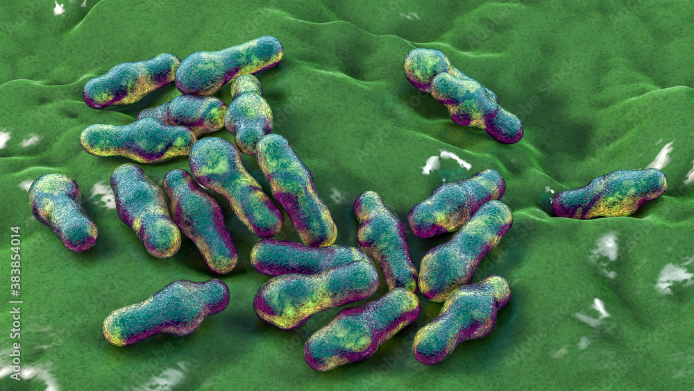 Spore-forming bacteria Clostridium Stock Illustration | Adobe Stock