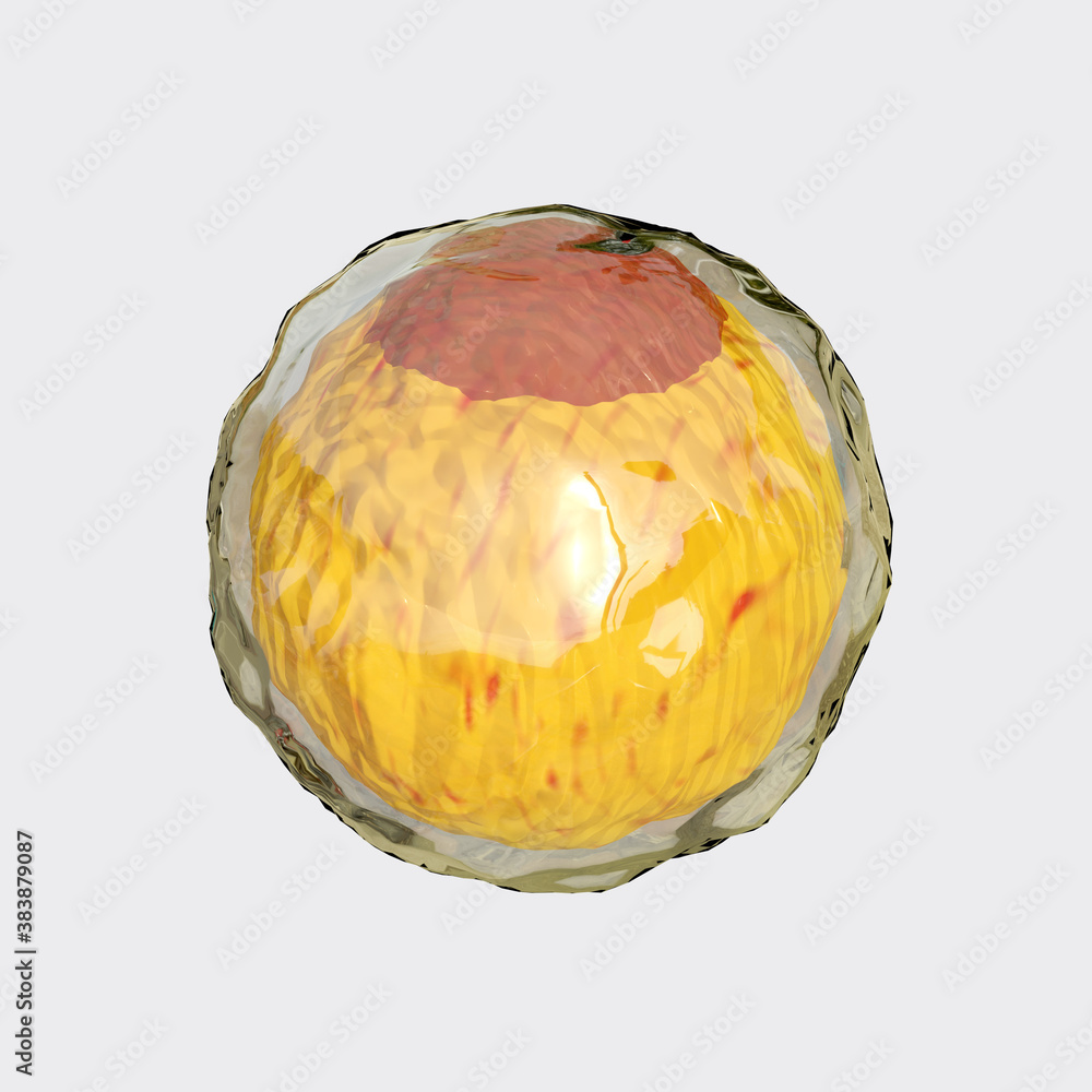fat cell isolated on white background. Excessive adipose tissue causes ...