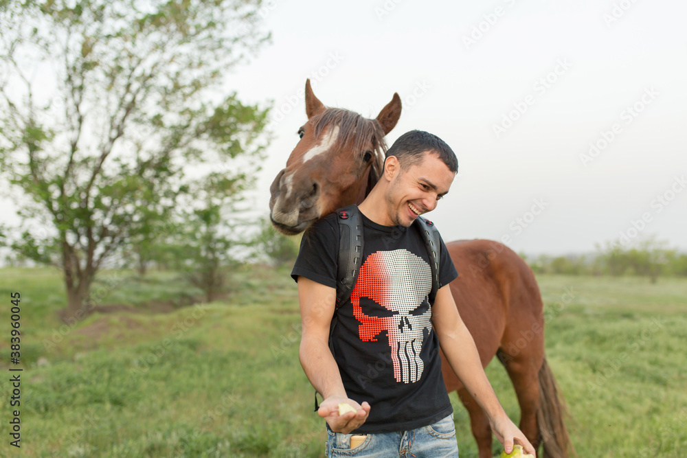 Guy with a horse in a green field. Communication with animals Stock ...