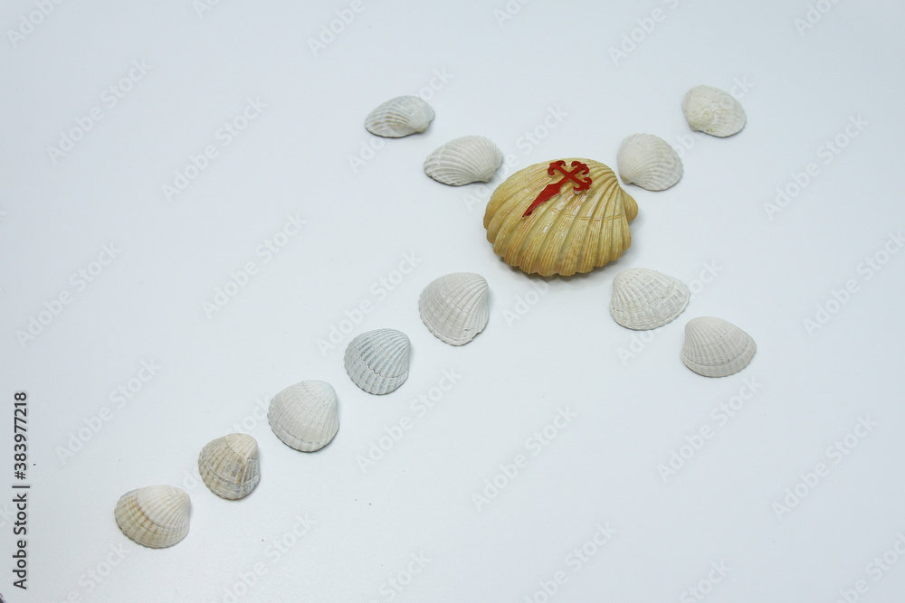 Seashell of St. James with a bloody red cross. Symbol of pilgrims. Road ...