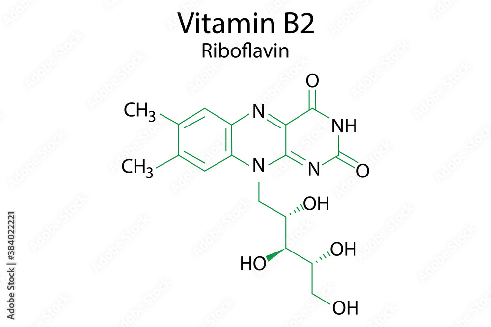 Vitamin b2, great design for any purposes. Biology, science background ...