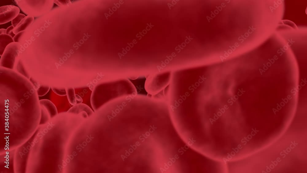 Red blood cells Flow Loop Animation Alpha Channel for oxygen, dna ...