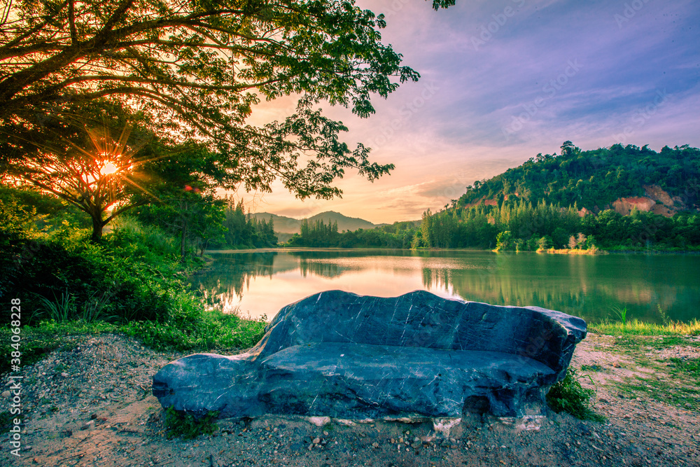 Blurred nature background view of naturally occurring trees and ...