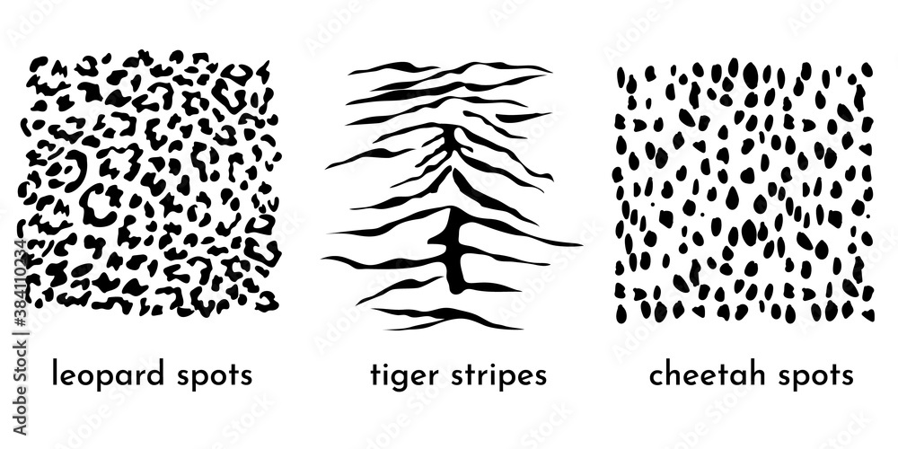 Animal print collection. Leopard spots, cheetah spots and tiger stripes ...