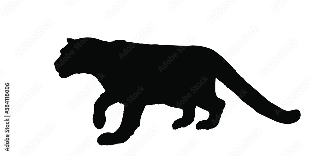 Snow leopard vector silhouette illustration isolated on white ...
