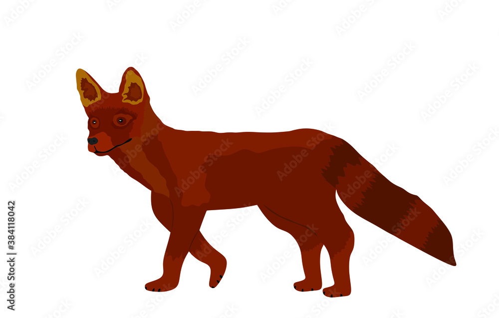 Red fox vector illustration isolated on white background. Smart animal ...
