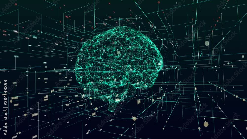 3d animation graphic design of brain and brain stem in alpha background ...