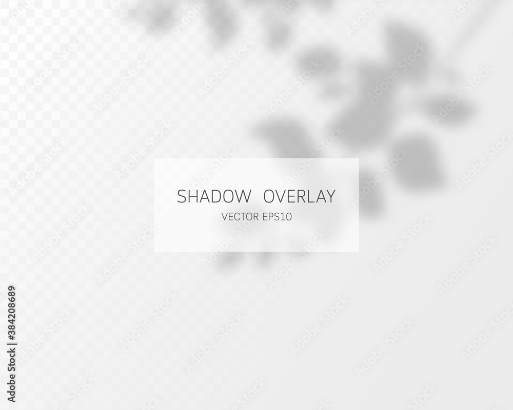 Shadow overlay effect. Natural shadows isolated on transparent ...