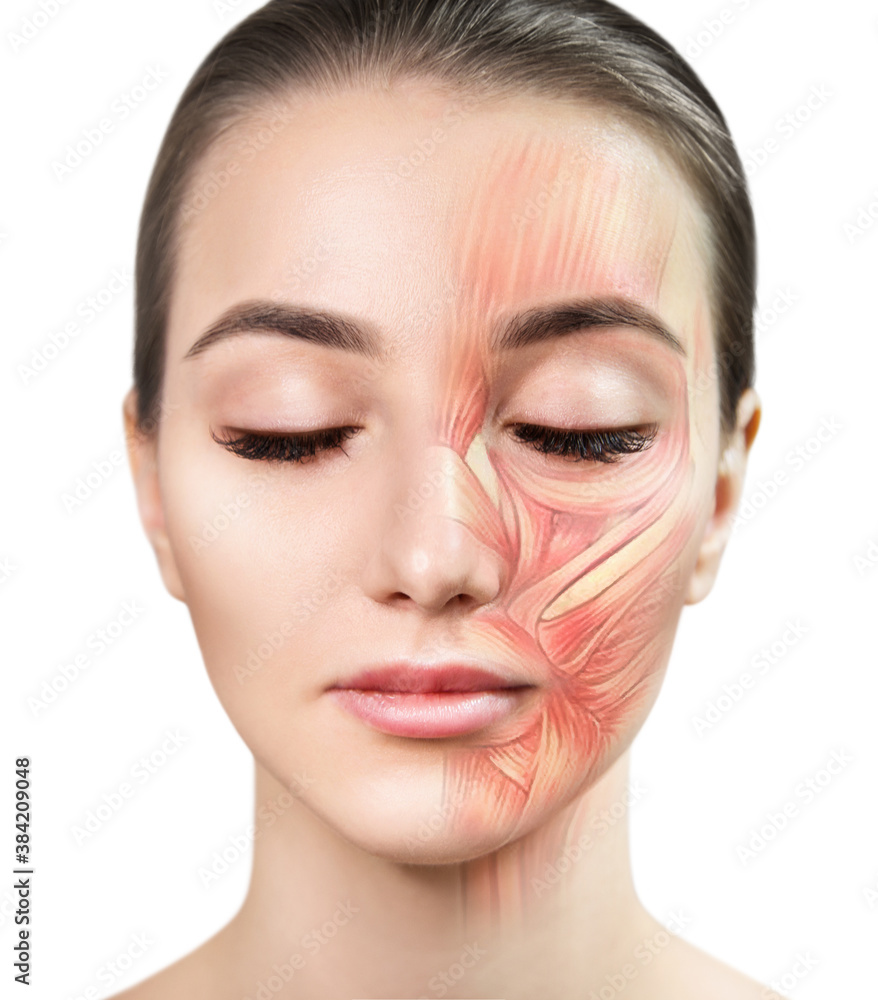 Young woman with half of face with muscles structure under skin. Over ...