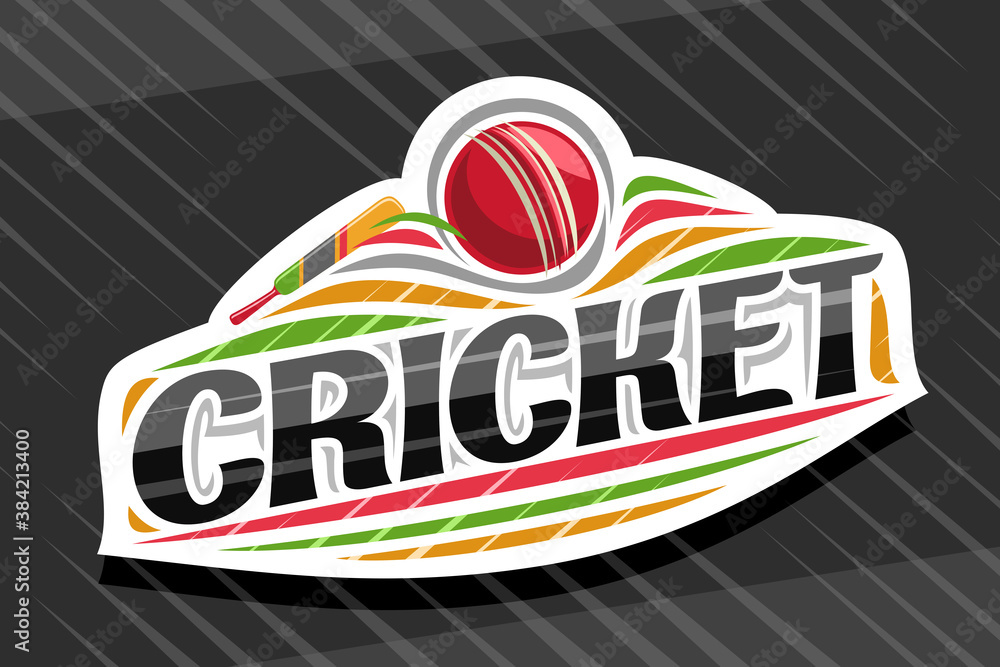 Vector logo for Cricket Sport, white modern emblem with illustration of ...