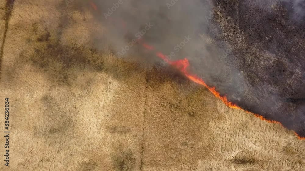 Aerial view of a field with dry grass set on fire with orange flames ...
