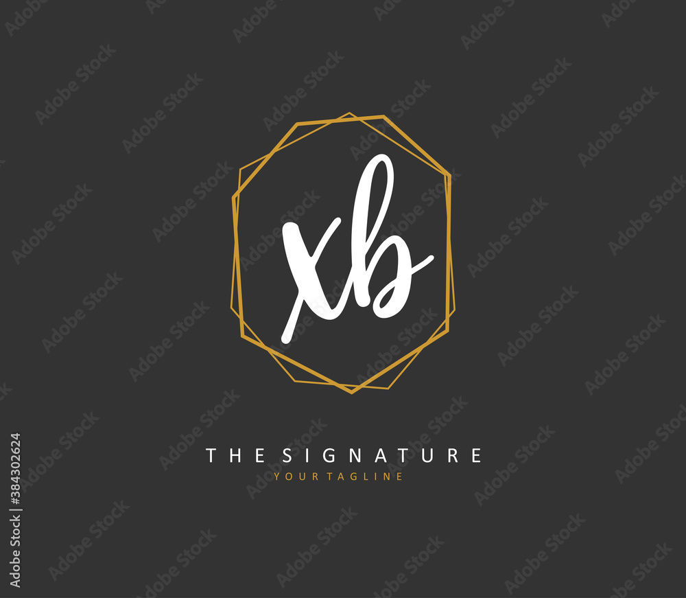 X B XB Initial letter handwriting and signature logo. A concept ...