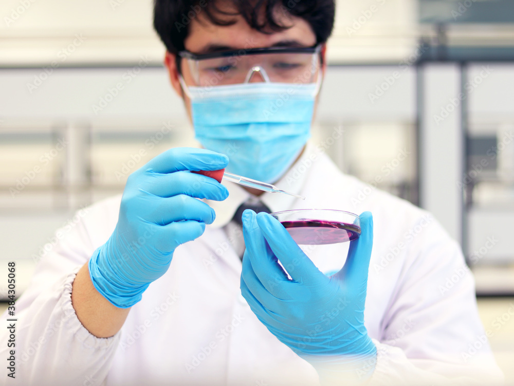 Scientist analysis Escherichia coli (E.coli) with Eosin Methylene Blue ...
